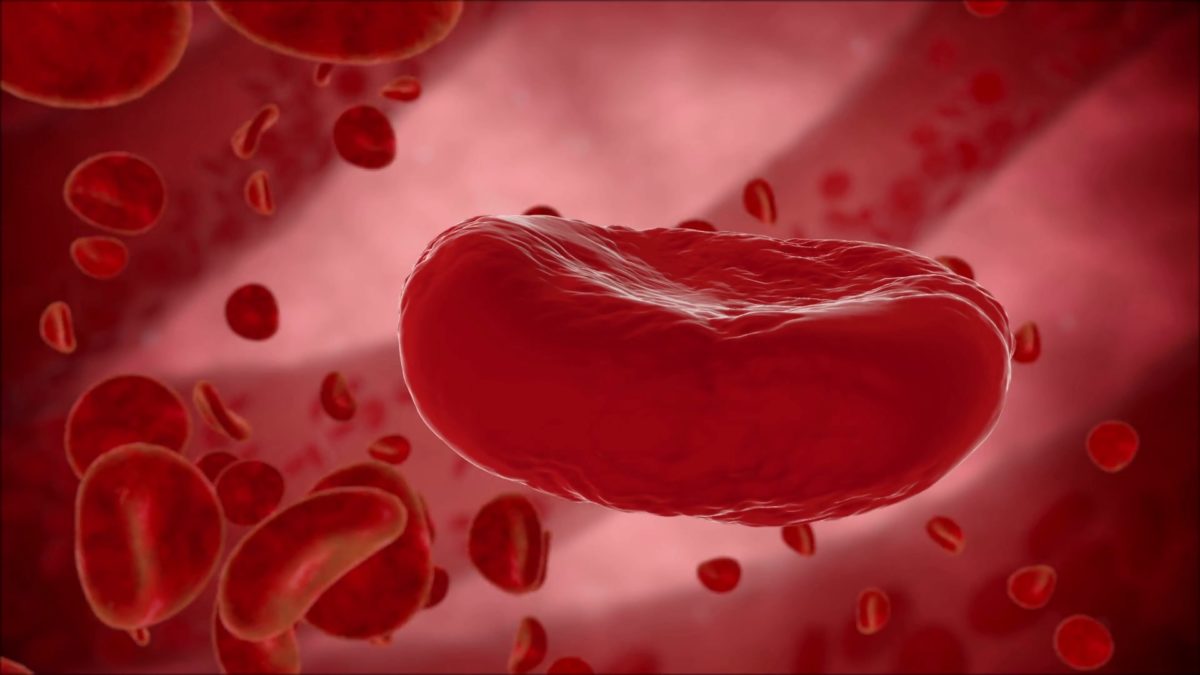 БЕЗ НИВ НЕМА ЖИВОТ: Што се случува во организмот кога бројот на ...