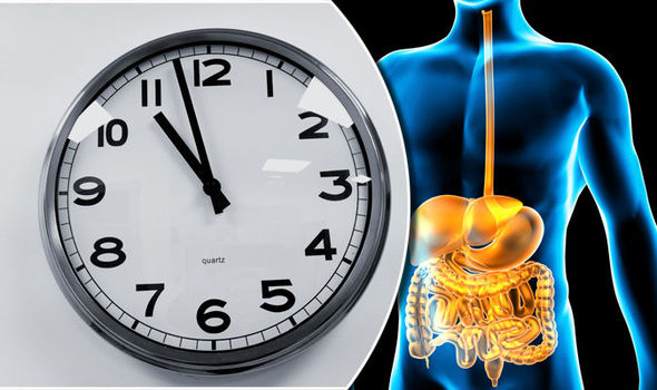 PROBIOTIK - Panacea.mk