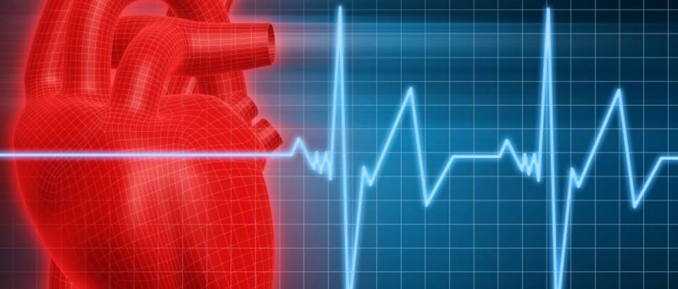 Што е нормален пулс? И што ви кажува пулсот? - Panacea.mk