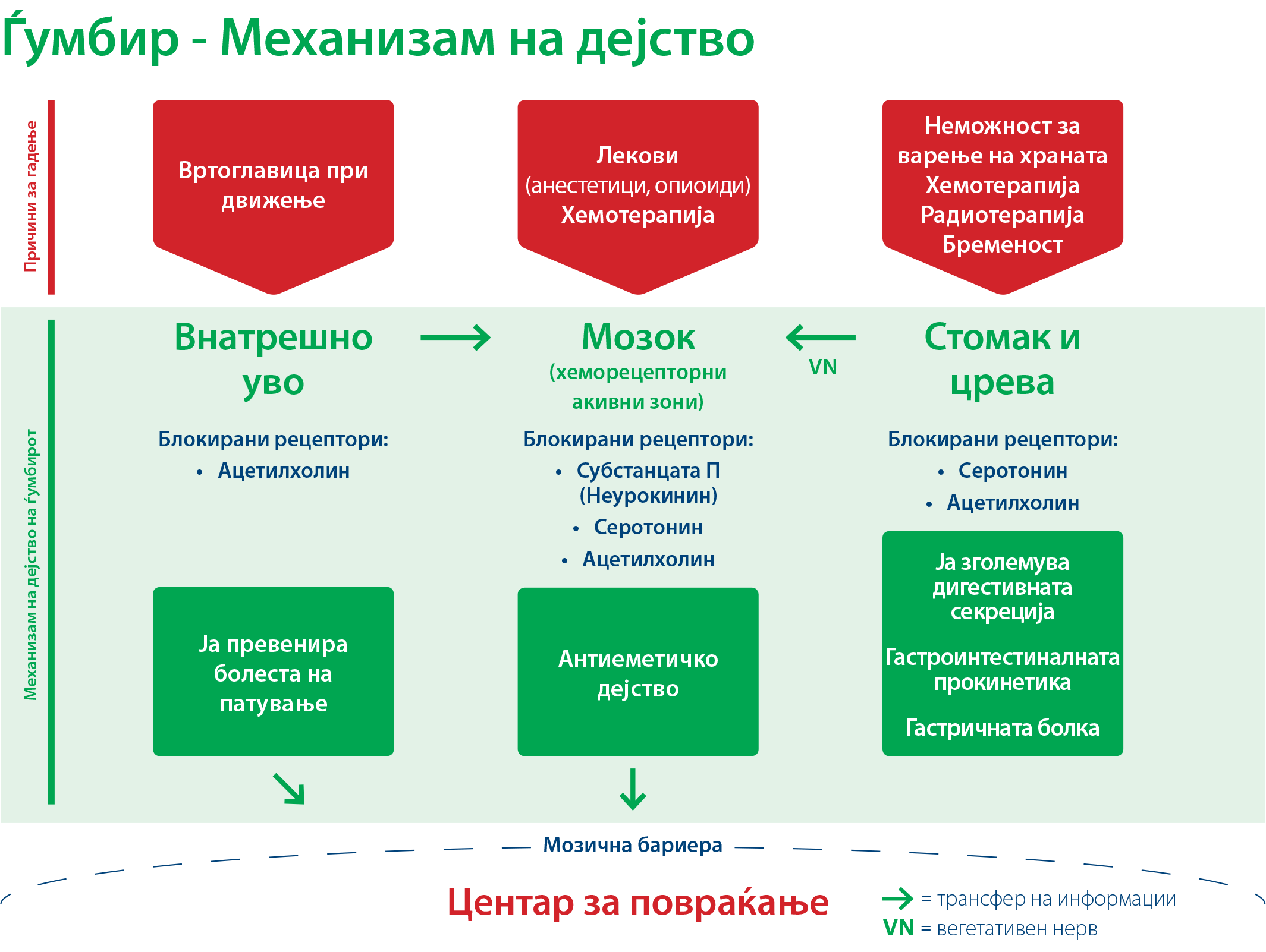 mehanizam na dejstvo - Panacea.mk