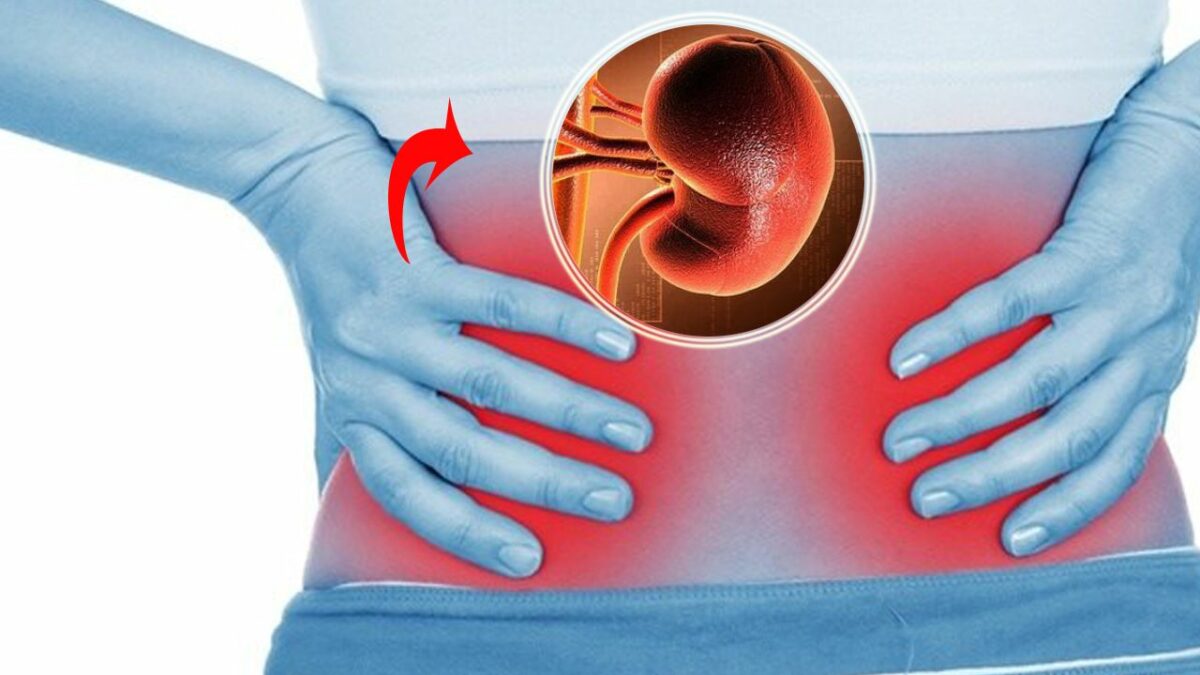 ОВИЕ СЕ СИМПТОМИ ЗА ПАНИКА: Ракот на бубрези најчесто се јавува по 40. - Panacea.mk