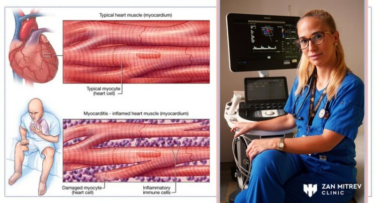 ИНТЕРВЈУ СО ДОЦ. Д-Р ПЛАНИНКА ЗАФИРОВСКА: Пациентите треба да се ...